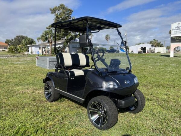 2025 Evolution Turfman 200 for Sale | Electric Utility Cart with Cargo ...