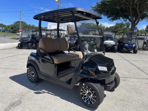Luxury Golf Carts for Sale: Evolution, Club Car, E-Z-GO, & Delivery ...